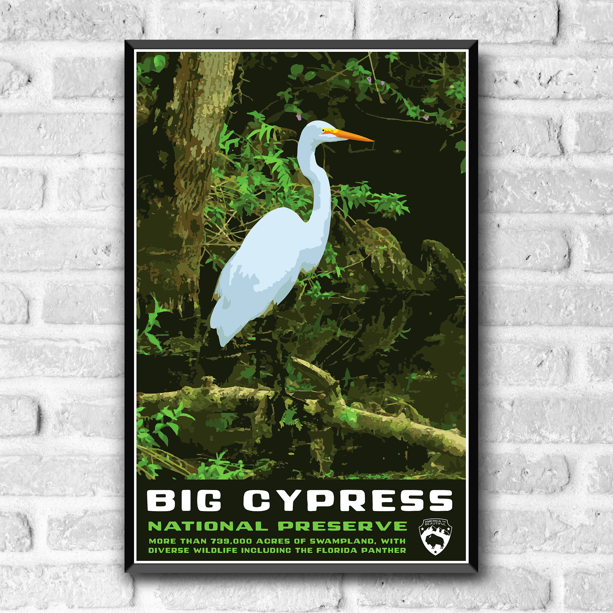 Big Cypress National Preserve Poster / Postcard - Go See Design