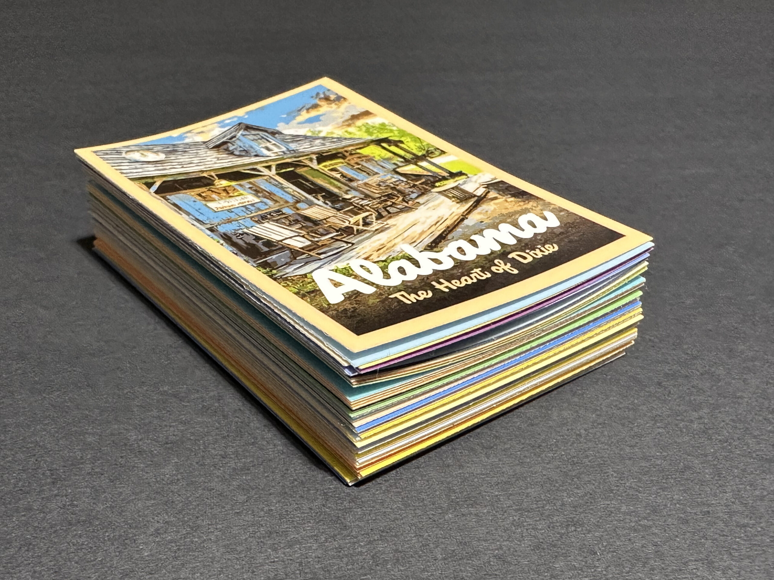 Premium Vinyl Stickers: Complete Set of Our Fifty States - Go See Design