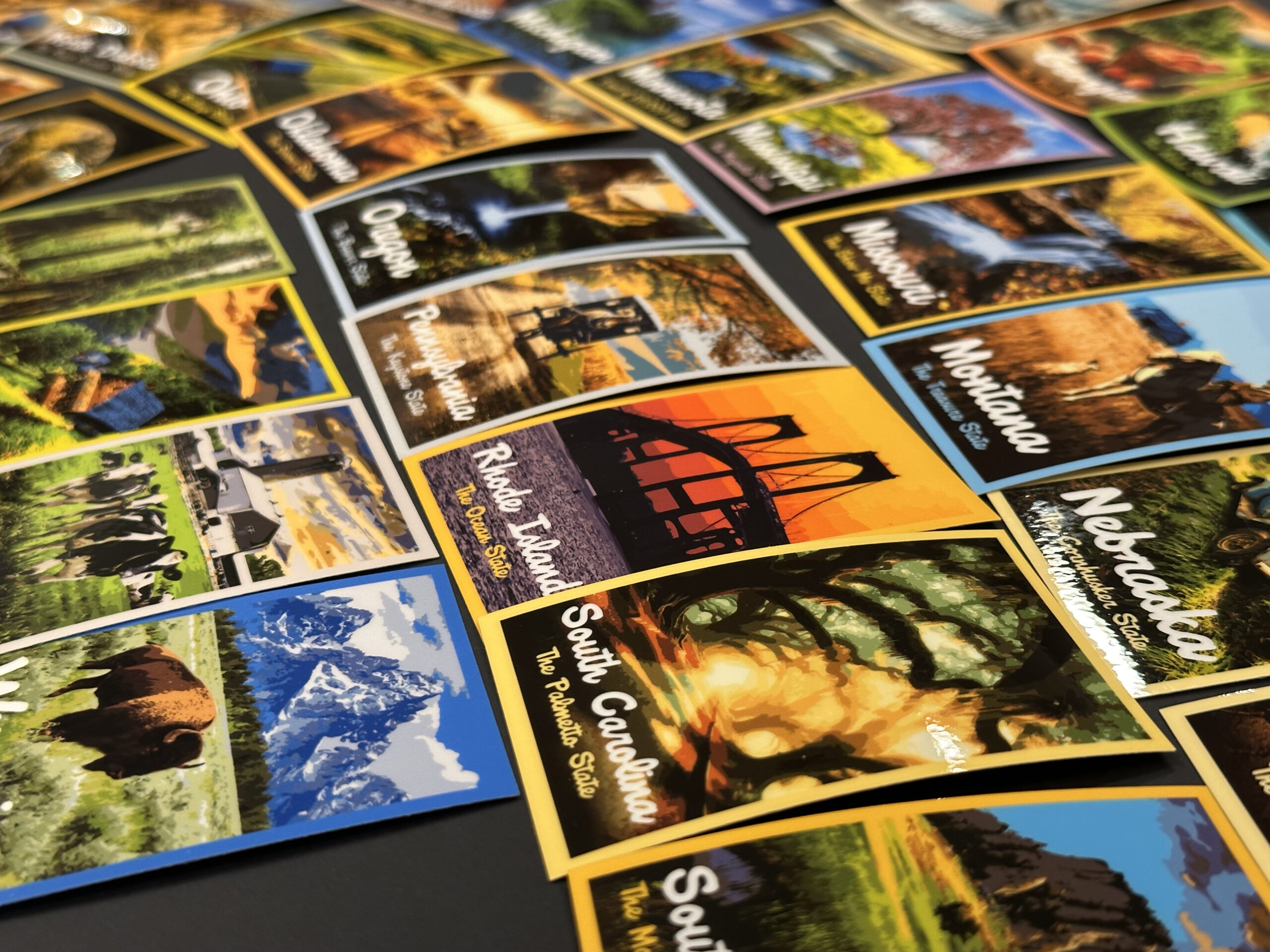 Premium Vinyl Stickers: Complete Set of Our Fifty States - Go See Design