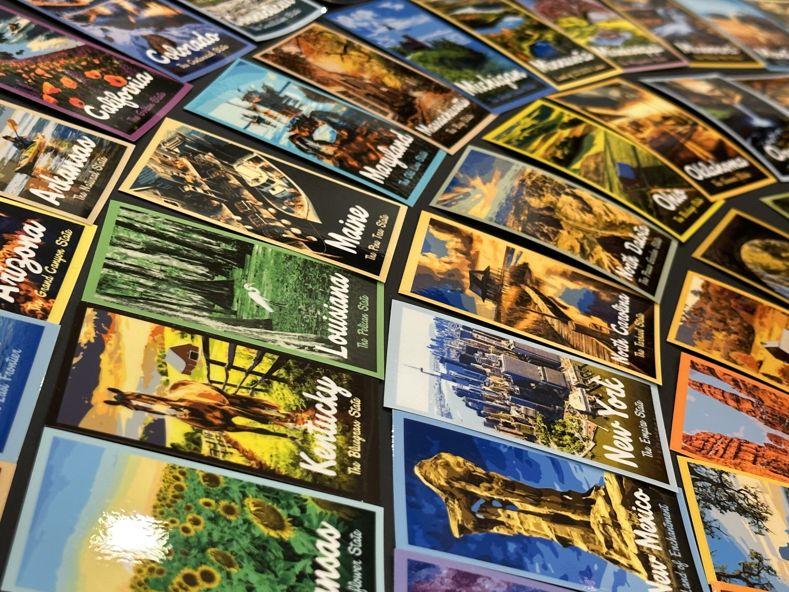 Premium Vinyl Stickers: Complete Set of Our Fifty States - Go See Design