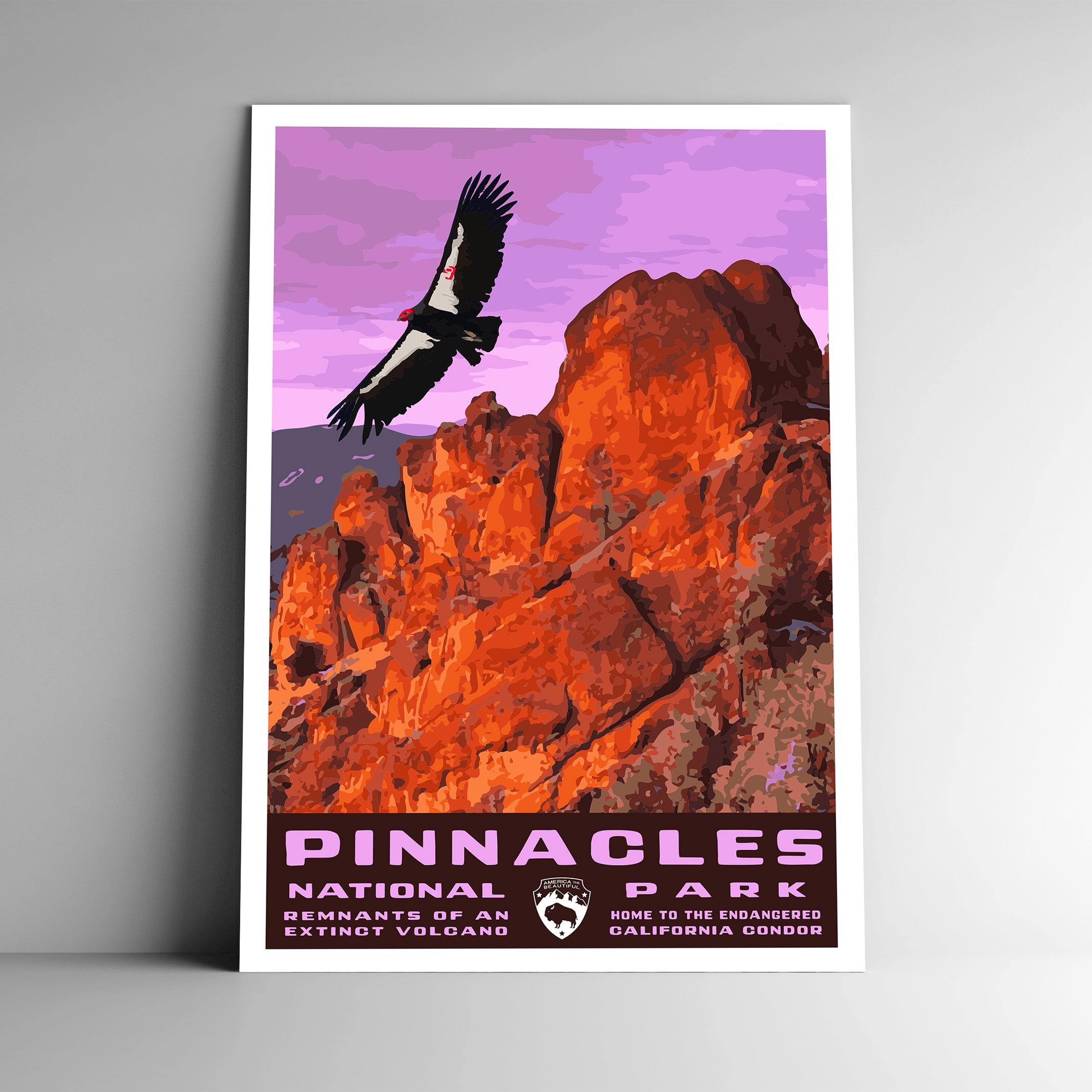 Pinnacles National Park Poster / Postcard - Go See Design